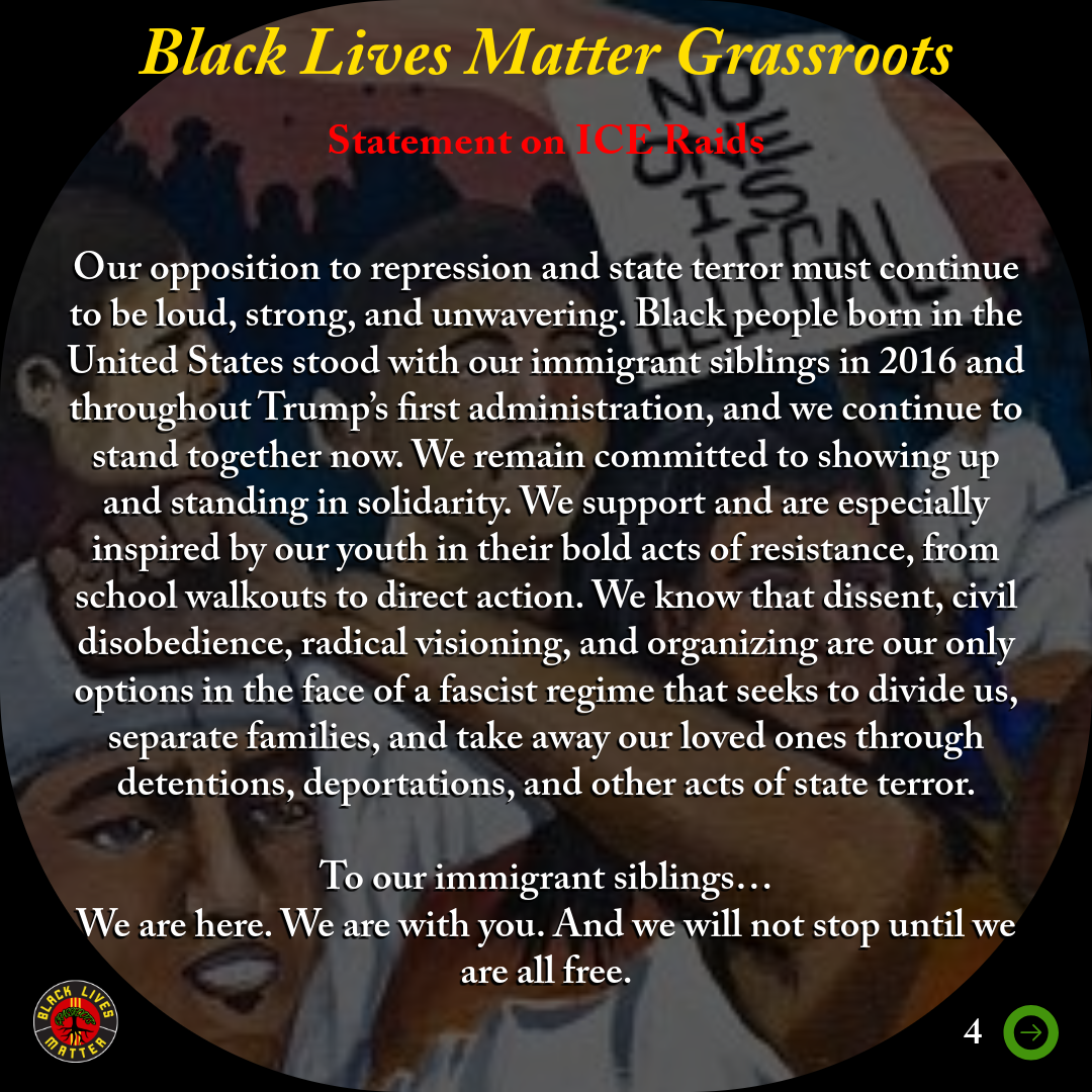 Statement on ICE Raids