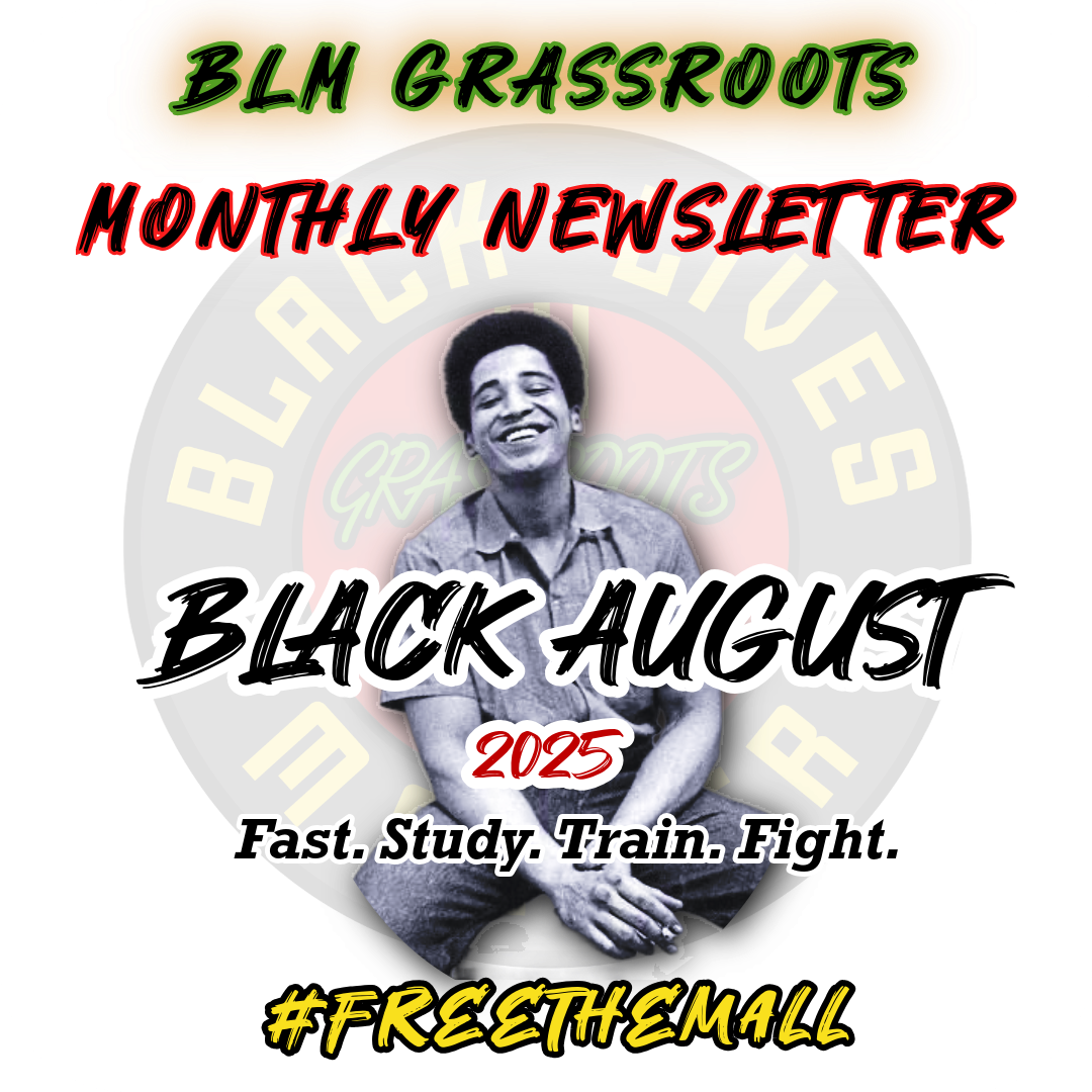 How Black Lives Matter Changed the U.S. - Black Lives Matter Grassroots